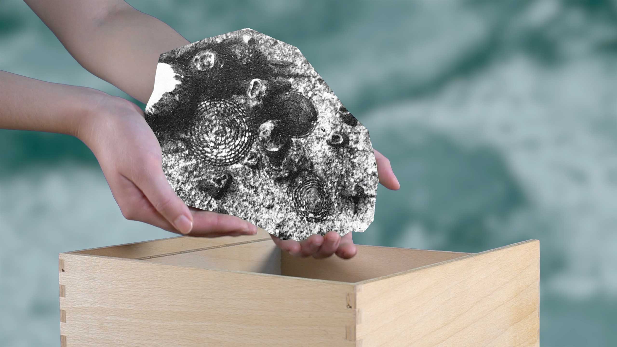 Han TANG - 2023 第八屆台灣國際錄像藝術展｜2023 Taiwan International Video Art Exhibition